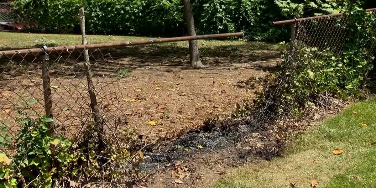 Authorities investigating possible electrocution of a man, his dog Authorities investigating possible electrocution of a man, his dog